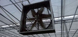 Introduction to air circulation fans in greenhouses - Growsave