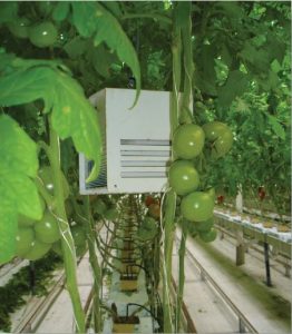 How plant temperature data helps to save energy - Growsave