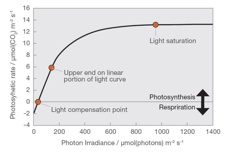 How to improve light transmission in glasshouses - Growsave